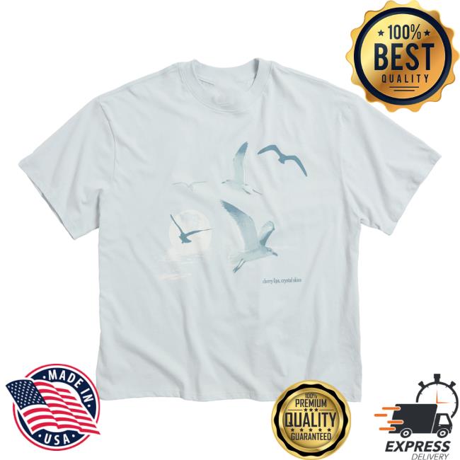 Taylor Swift Store Merch 1989 Taylor’S Version Seagull Boxy T-Shirt ...